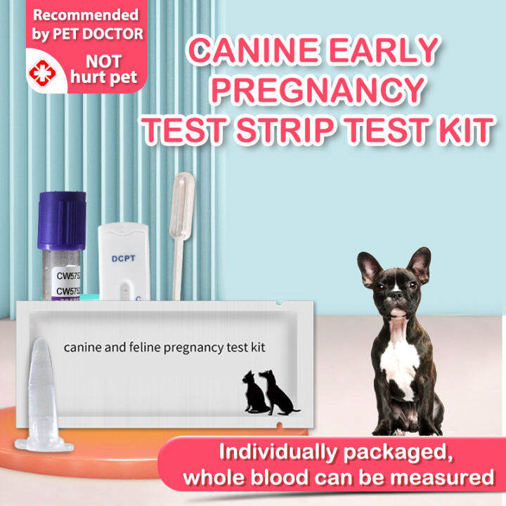 WANGHU Dog Pregnancy Test Strip Dog Pregnancy Test Card Canine ...
