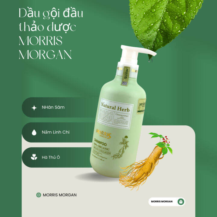 Dầu gội đầu thảo dược MORRIS MORGAN chiết xuất nhân sâm giúp chống lão ...