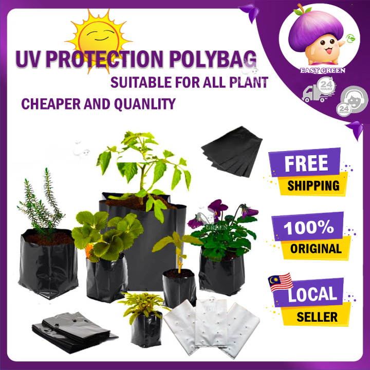 12X15 1Pc Quality UV Protection Poly Bag Tebal/Polybag/Nursery ...