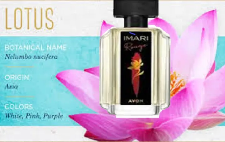 AVON IMARI ROUGE EAU de TOILETTE 50ml | Lazada PH