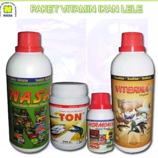 paket budidaya ikan lele peternakan ikan lele original nasa | Lazada ...