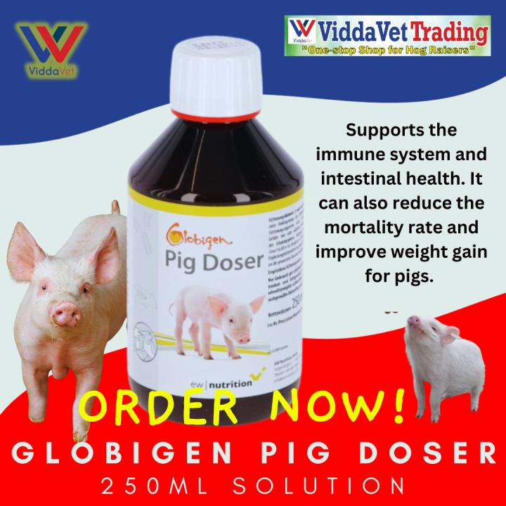 Globigen Pig Doser immune booster for pigs livestock piglets support ...