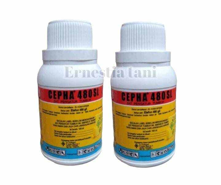 CEPHA 480SL 100ml Pupuk Hormon Tanaman dan Zat Pengatur Tumbuh Ichipon ...