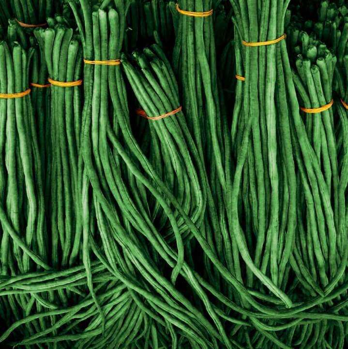 Sitaw Seeds ( Pole Sitao Maxi Green Varieties) 40 pcs per pack. | Lazada PH