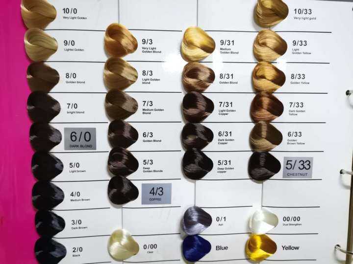 Elecar Hair Color Cream Hair Dye 100ml | Lazada PH