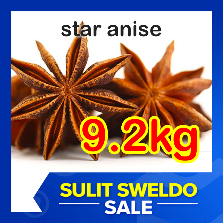 9kg case STAR ANISE Star Anis Anise Seeds for Pho Biryani Ingredients ...