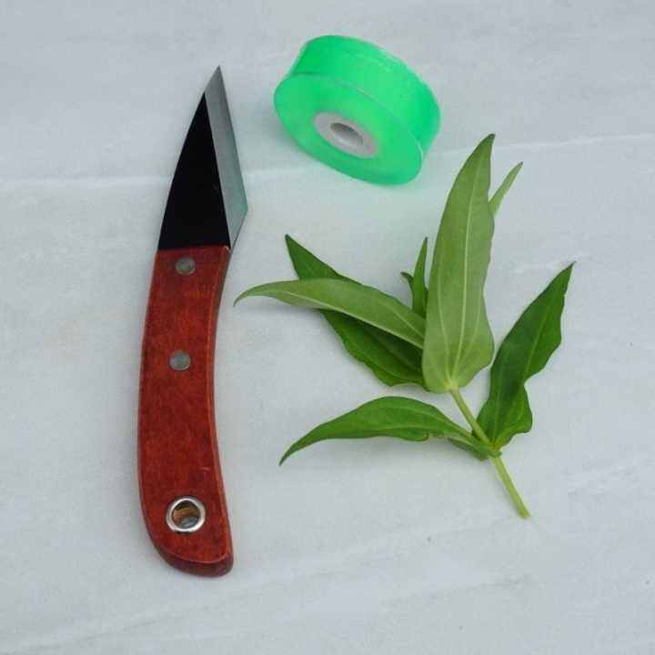 Paket Grafting Tool Pisau tajam dan pita Okulasi Sambung Tanaman ...