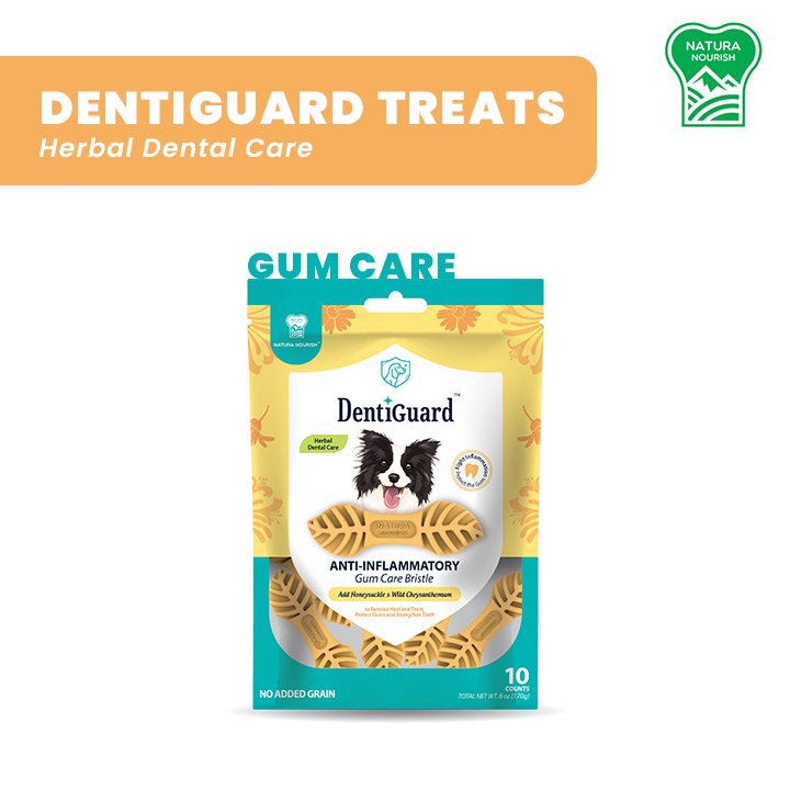 Natura Nourish Dentiguard Dental Dog Treats 170g 10pcs Gum Care | Lazada PH