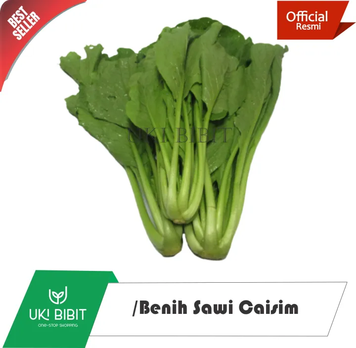 ( 700 Butir ) Benih Sawi Caisim REPACK | Lazada Indonesia
