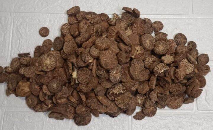 PINANG KERING / DRIED ARECA NUT / BETEL NUT/ PAKKU (FROM INDONESIA ...
