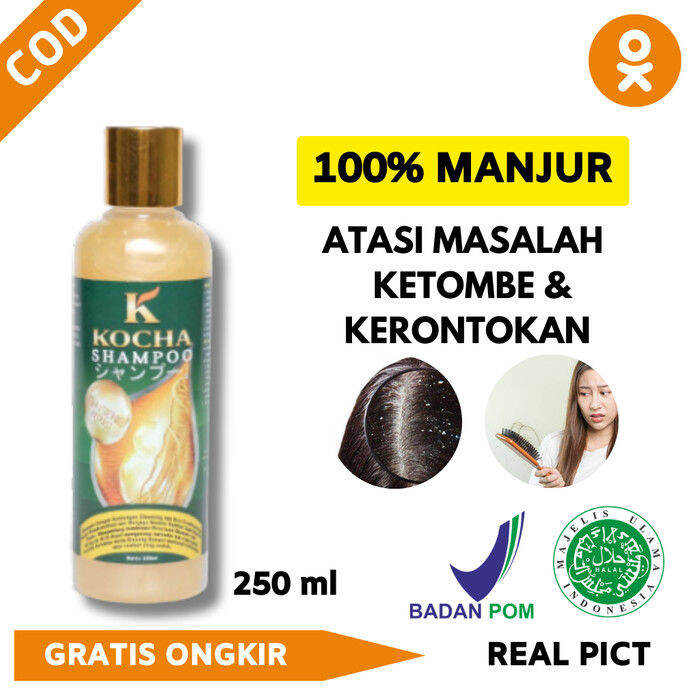 Shampoo Anti Dandruff Hair Full 250ml Sampo Anti Ketombe Rambut Rontok ...
