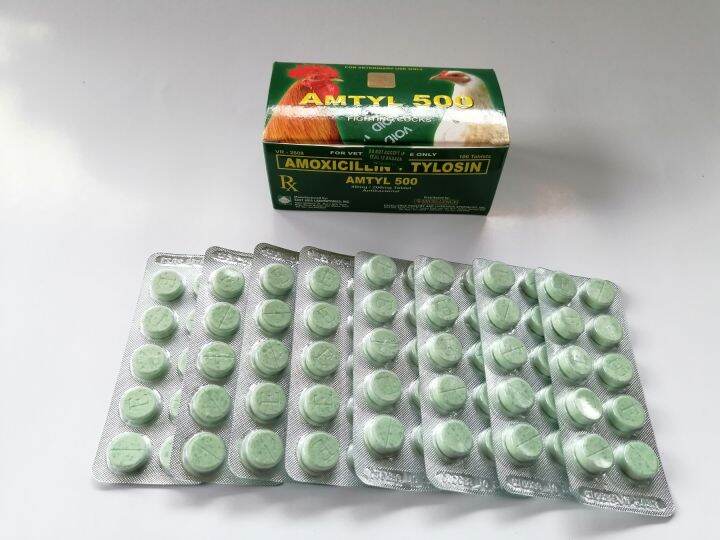 [CLR AGRIVET] 80 TABLETS AMTYL 500 GAMEFOWL SUPPLEMENT/ Fighting cock ...