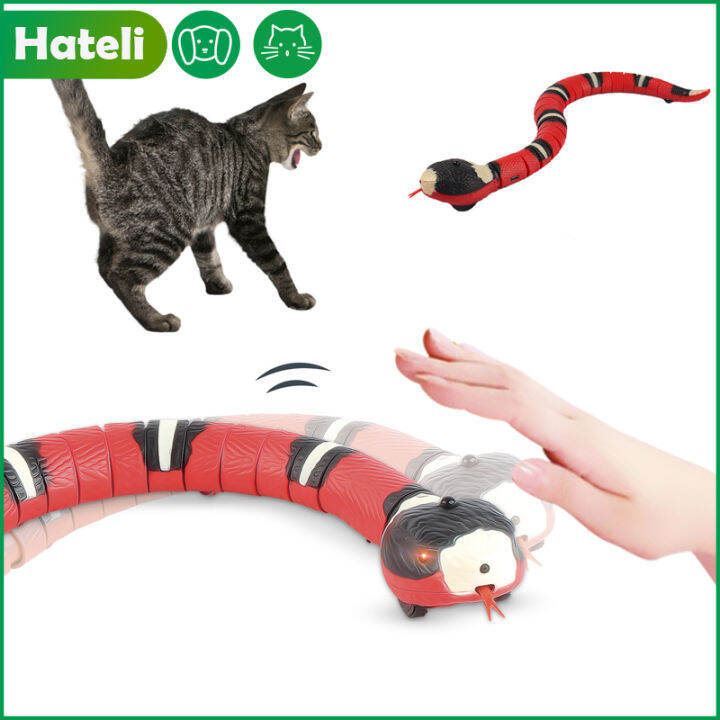 HATELI Smart Sensing Snake Cat Toys Electric Interactive Toys USB ...