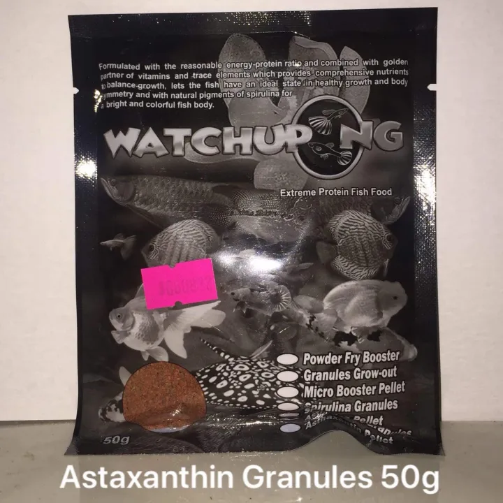 WATCHUPONG POWDER FRY BOOSTER 50g | Lazada PH