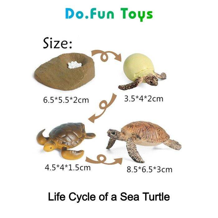 COD Animal Figure Life Cycle of a Sea Turtle / Siklus Hidup Penyu Laut ...