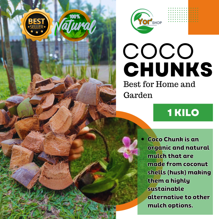 1 kilo coco chunks for plants | Lazada PH