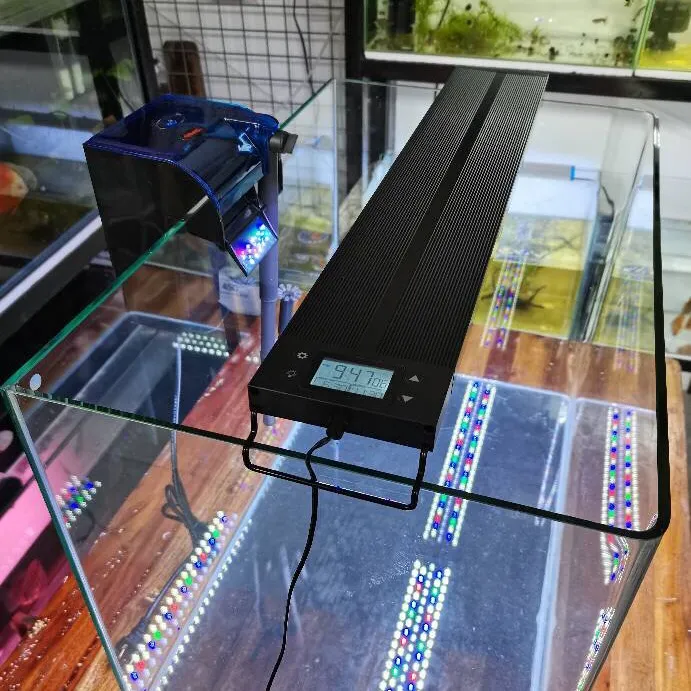 60cm Curve Tank (Tank only No LID) | Lazada PH