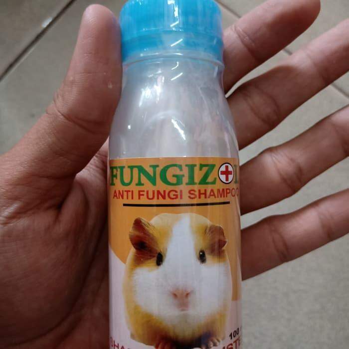 Fungizol Hamster - Shampoo Jamur Hamster Anti Fungi Shampoo Ringworm ...