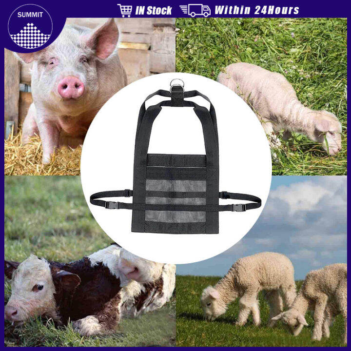 Adjustable Livestock Weight Scale Sling Hanging Injury Reduction Belt ...