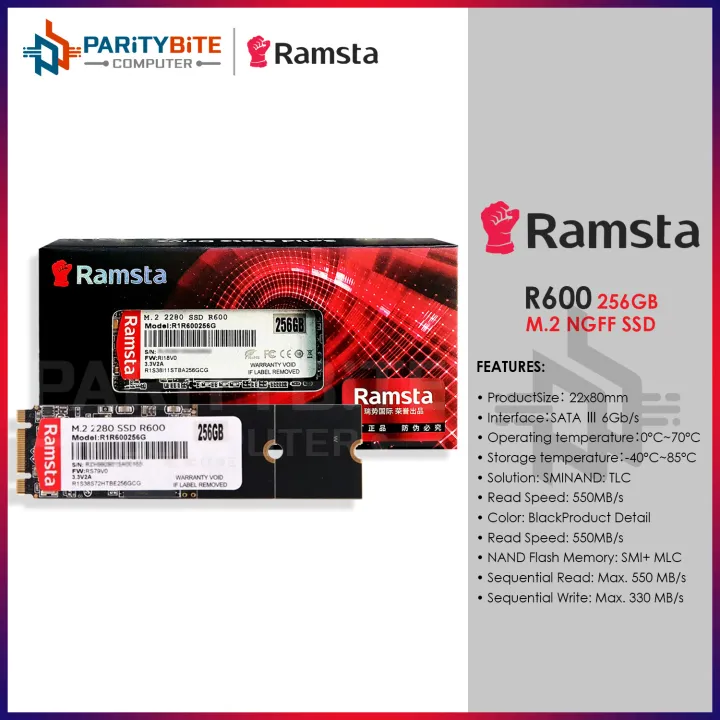 Ramsta R600 M.2 NVMe 256GB SSD | Lazada PH