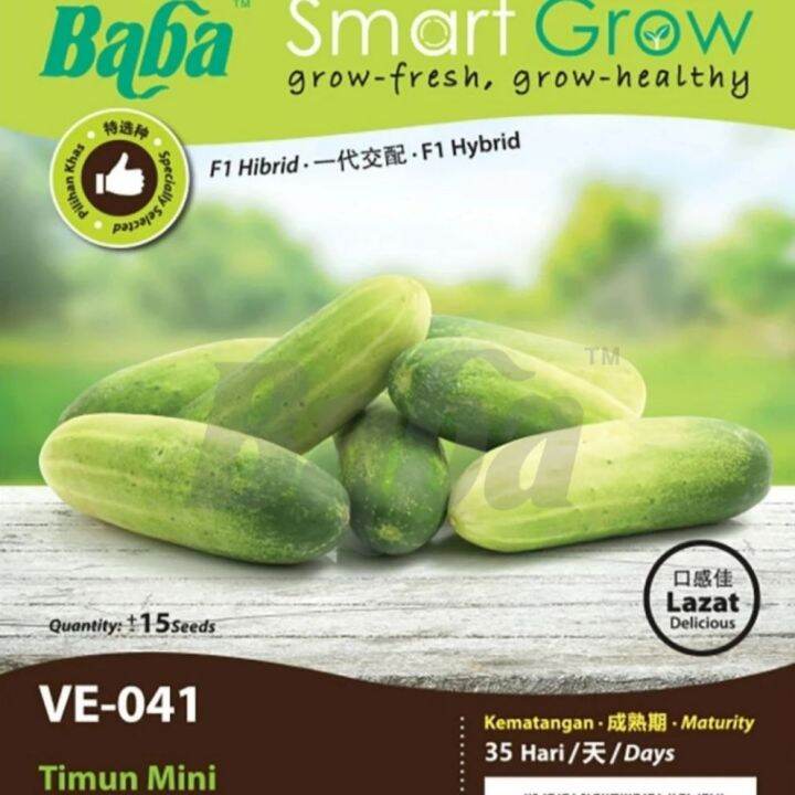 Baba Smart Vegetable Seed: VE-041 F1 Mini Cucumber benih sayur timun ...