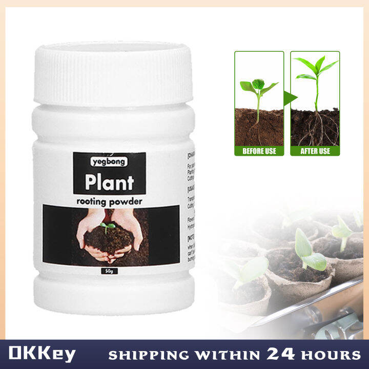 Plant Rapid Rooting Agent with Spoon Rooting Hormone Powder Garden ...