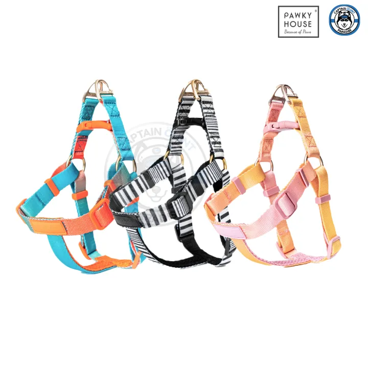 สายรัดตัวสุนัข Quick Harness - Pawky House จากตัวแทนจำหน่ายอย่างเป็น ...