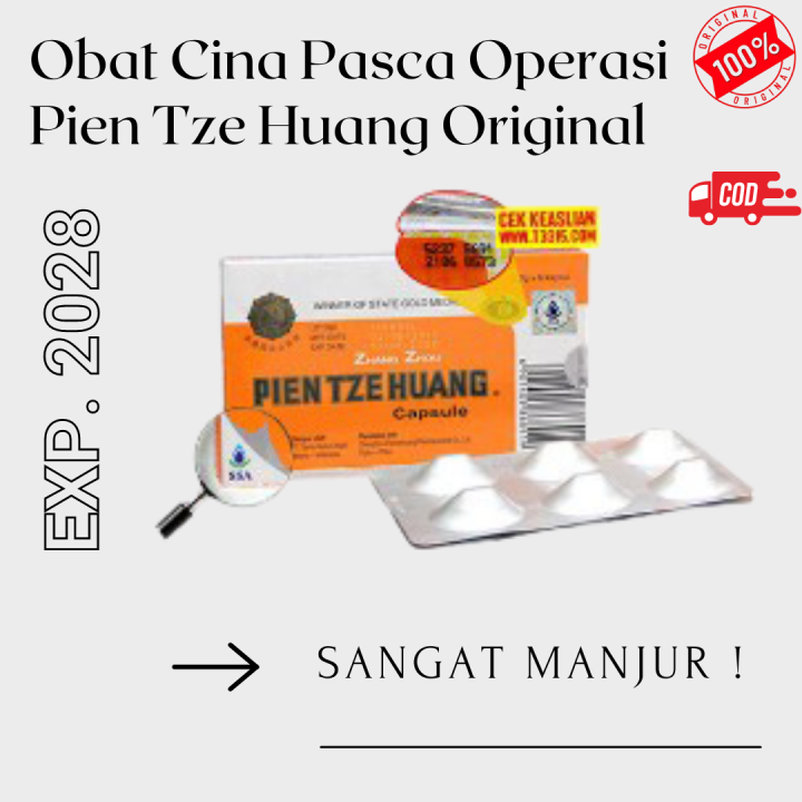 Obat Cina Pasca Operasi Kapsul Pien Tze Huang Pien Ce Wang Original Lazada Indonesia