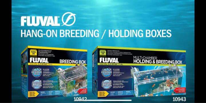 FLUVAL HANG ON MULTI-CHAMBER HOLDING & BREEDING BOX (1.1L/FV10942) (1 ...