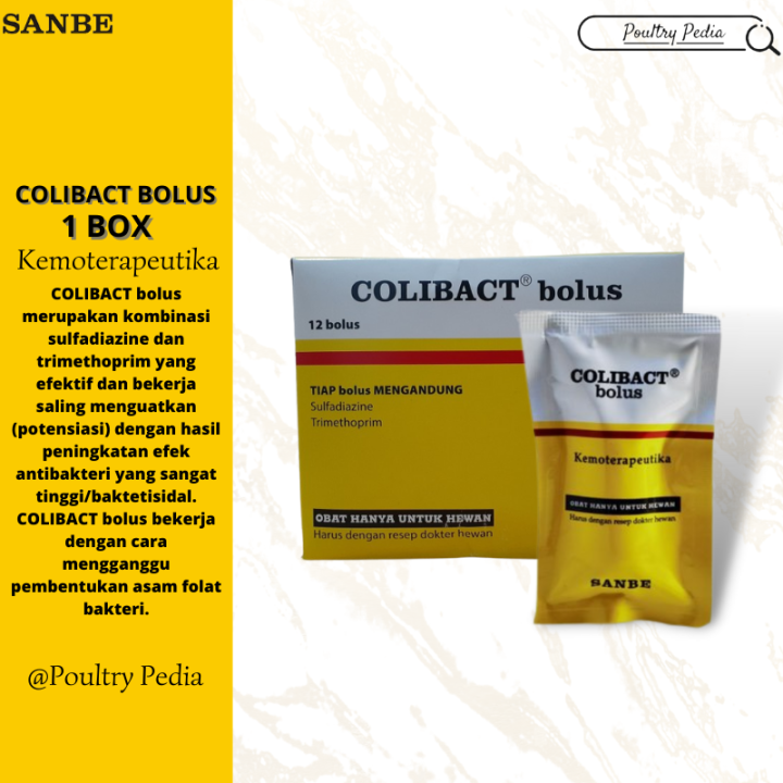 Colibact Bolus 1 Box Isi 12 Bolus Sanbe | Lazada Indonesia