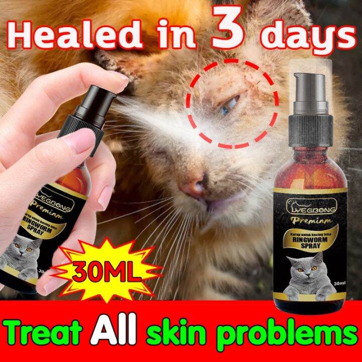 30ml Pet Skin Treatment Spray Cats Anti Fungal Moss Itchy Spray Kitten ...