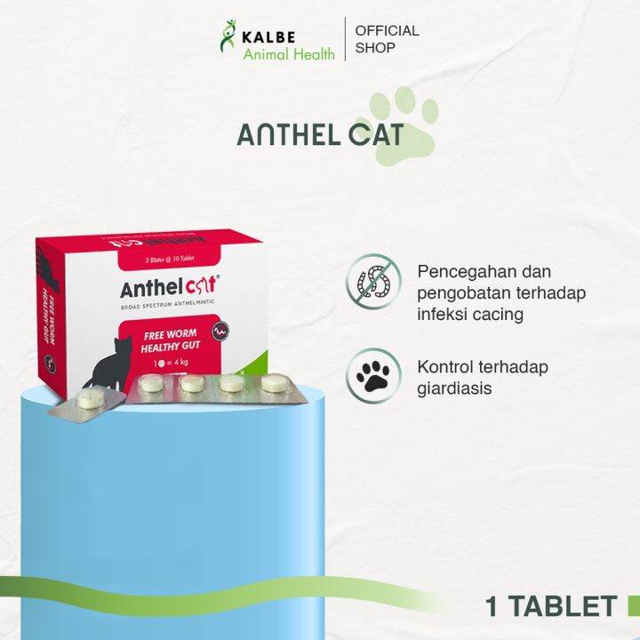 Anthel Cat 1 Tablet - Obat Cacing Kucing by Kalbe [ORIGINAL] | Lazada ...