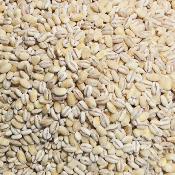 Biji Barli - Barley +-190g | Lazada