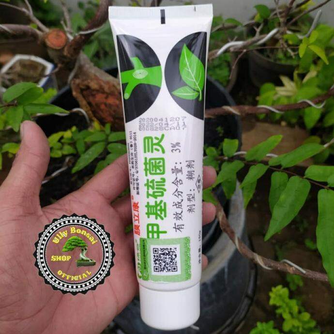 Sale SALEP KAMBIUM HEALING CUT PASTE 150ML IMPORT BERKUALITAS /PUPUK ...