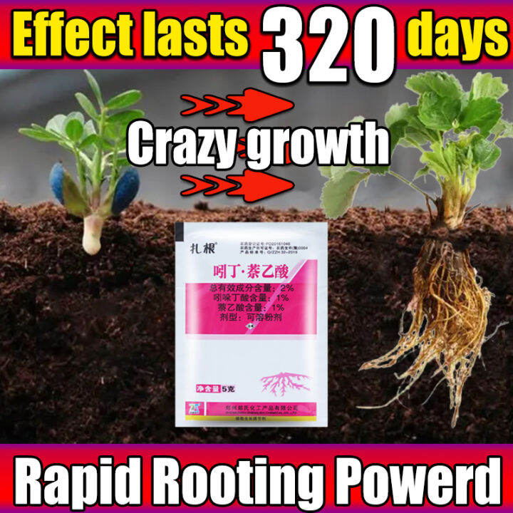 💥Crazy Rooting💥 XX Rooting hormone powder Rooting powder rapid growth ...