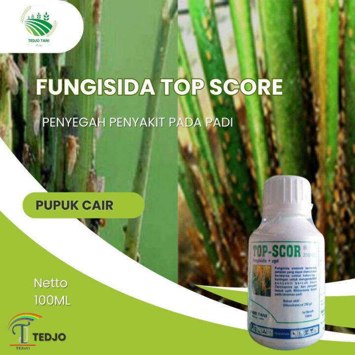 pupuk fungisida top score Top - scor difenokonazol 250 EC 100 ML ...