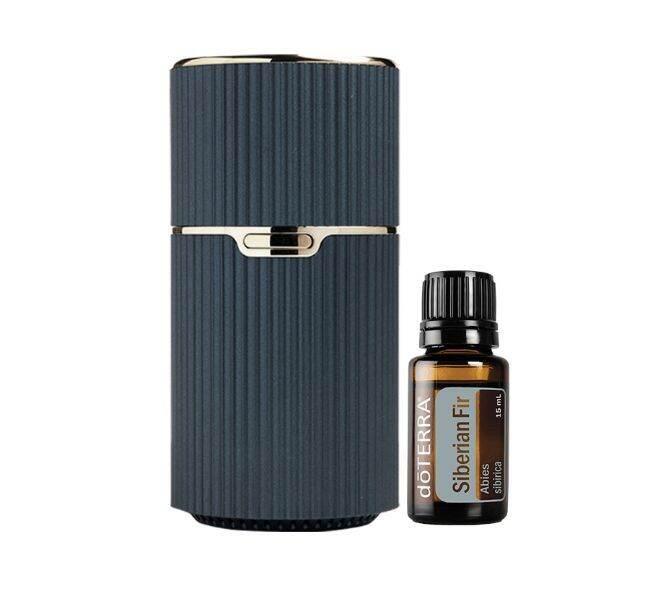 Pilot Malachite Diffuser with Siberian Fir Oil | Lazada PH