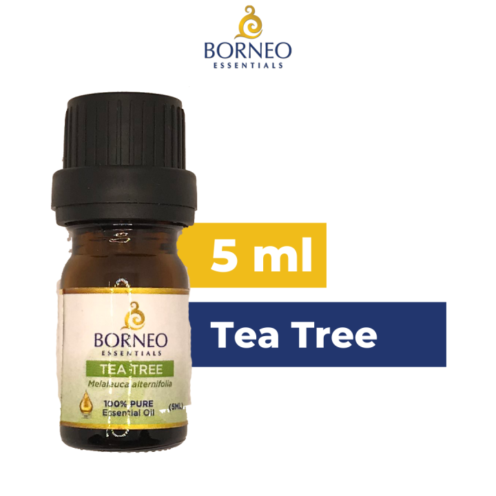 Borneo Essentials 100% Pure Essential Oil - Tea Tree 5ml | Lazada