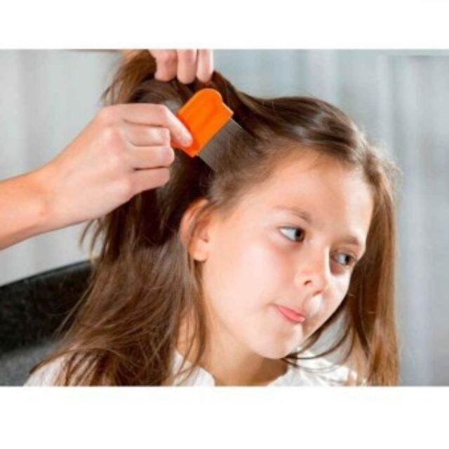 High Quality Magic Suyod Hair Comb Nit Comb Lice Terminator | Lazada PH