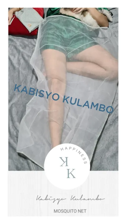Kabisyo Kulambo (kulambo sa paa with pouch) Mosquito Net | Lazada PH