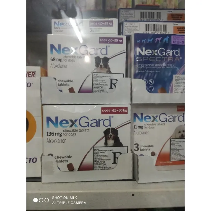Nexguard For Fleas