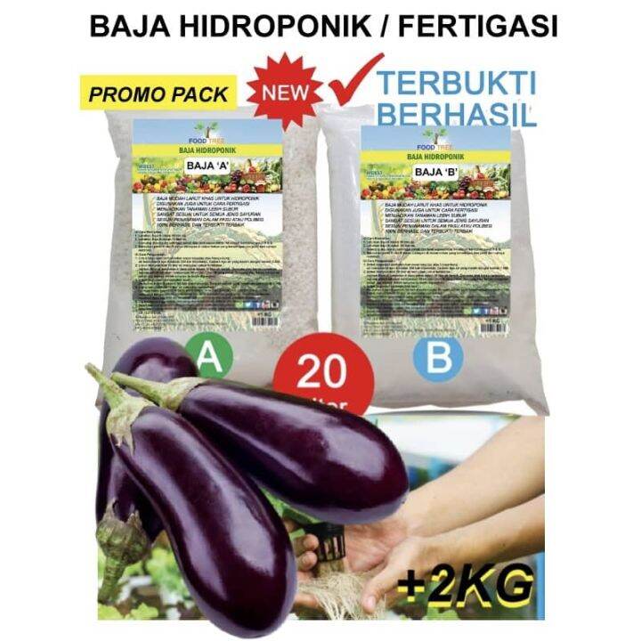 🌱Set Baja AB 2 KG Untuk Fertigasi dan Hidroponik Untuk Pokok TERUNG🌱 ...