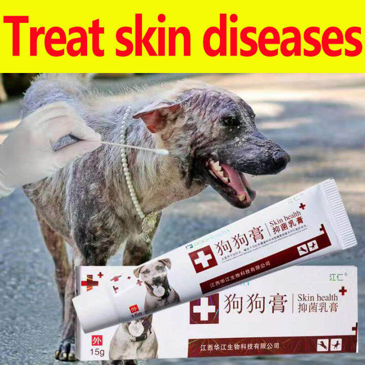 Hot 】[Doctor Recommended] Skin Ointment Skin Treatment,General For Dogs ...