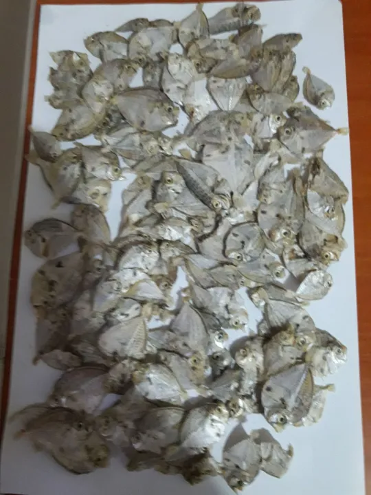 Tuyong Sapsap | Lazada PH