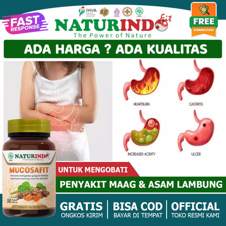 Obat Asam Lambung Herbal Alami China Ampuh Maag Kronis Nyeri Ulu Hati ...