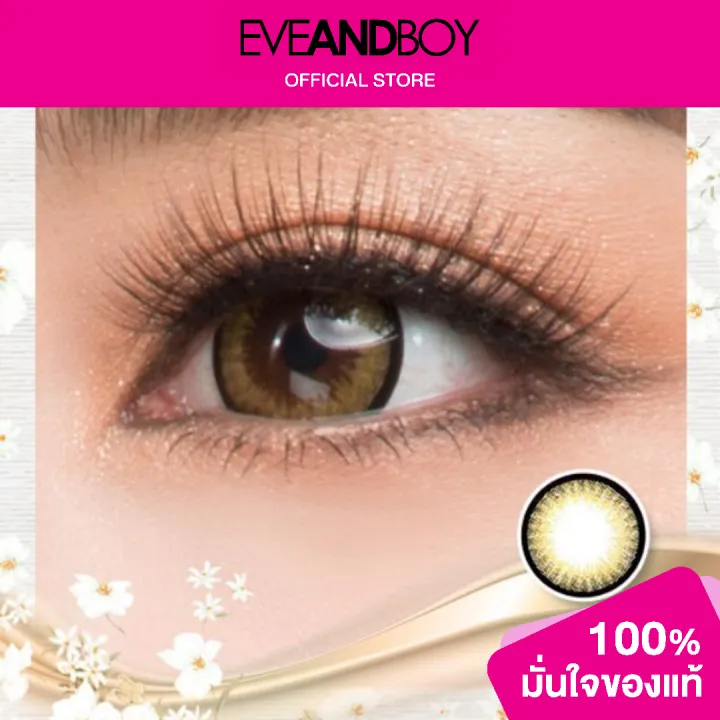 DREAMCOLOR1 - Contact Lens Mini Pure Brown | Lazada.co.th