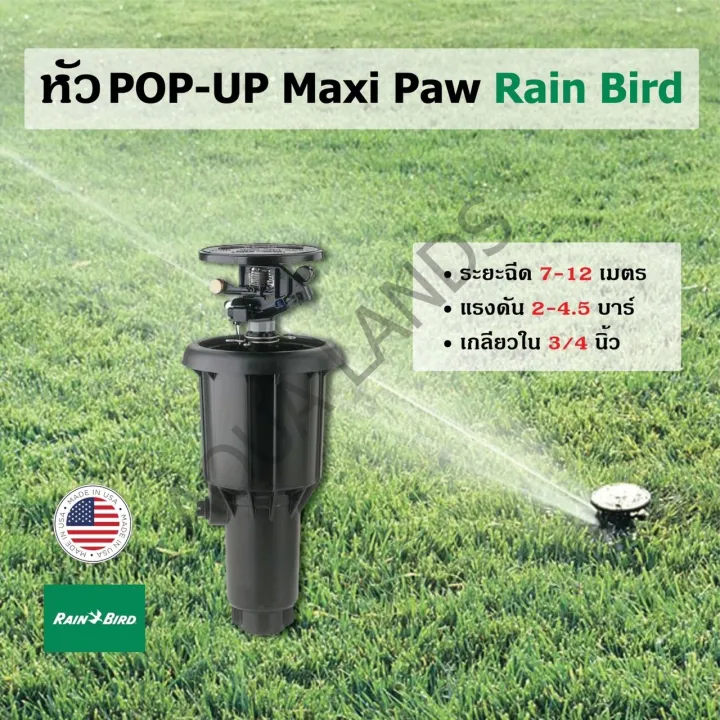 หัว Pop-up Maxi Paw Rain Bird 2045A เเบบตีน้ำ | Lazada.co.th