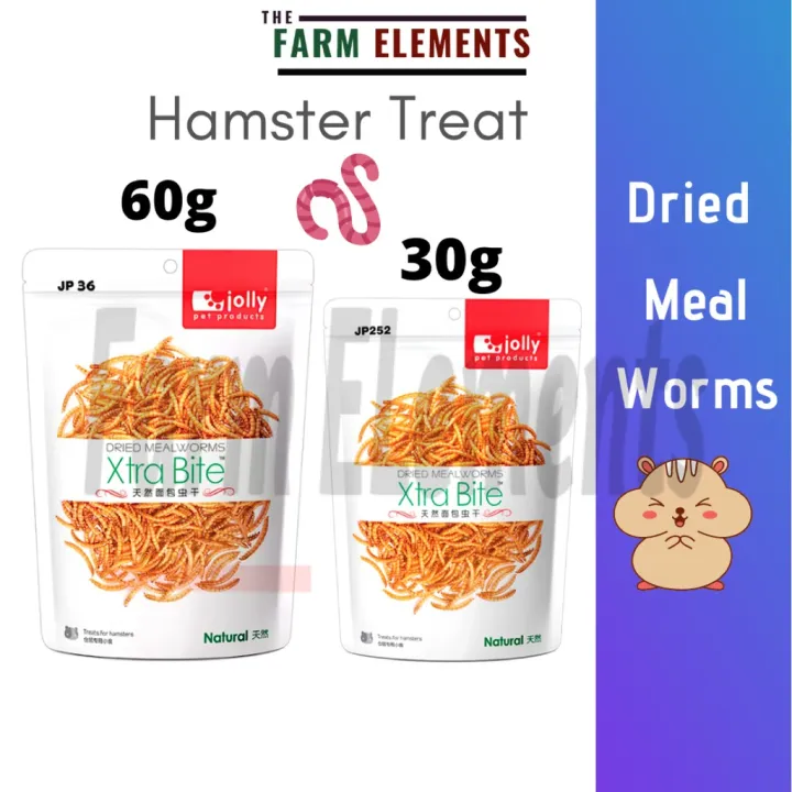 Jolly Dried MealWorms Xtra Bite (30g/60g) 天然面包虫干 Hamster Treat Makanan ...