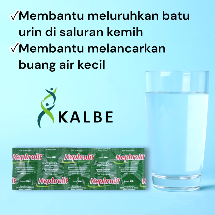 Obat Peluruh Batu Urin Kapsul Nephrolit Satu Strip Membantu ...