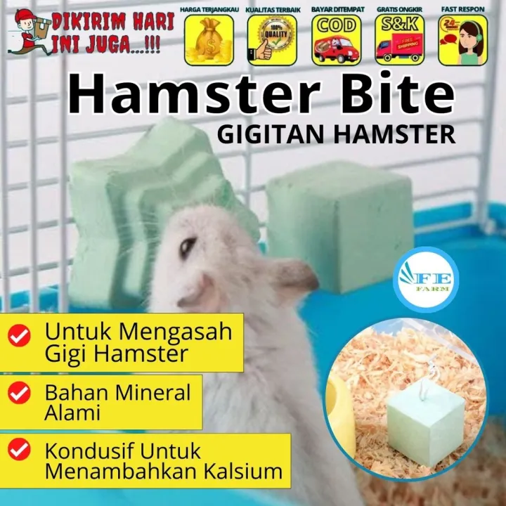 Gnawing Stone Hamster Batu Mineral Gigitan Hamster Sugar Glider Kelinci ...